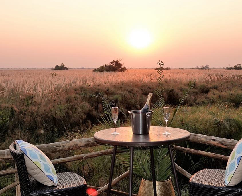 Setari Camp – Delta Okavango – Botswana – Mopane Game Safaris