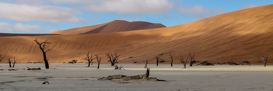 Namib: 5 cosas que debes saber – Mopane Game Safaris