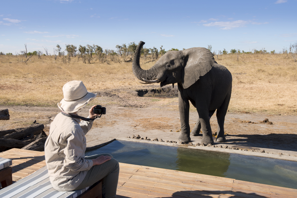 Somalisa Expeditions – Hwange - Zimbabwe - Mopane Game Safaris